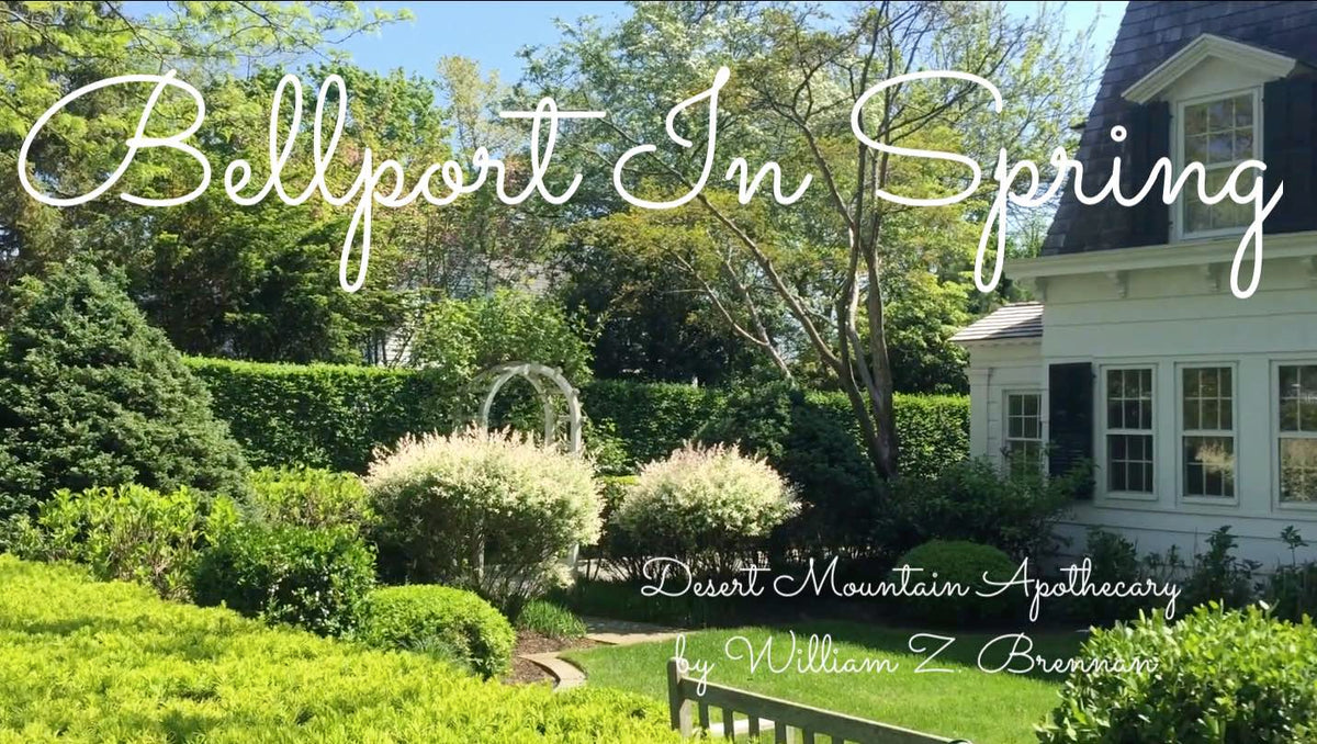 Bellport in Spring – Coming Soon – Wild Botanicals Spiritual Siphon Gr ...