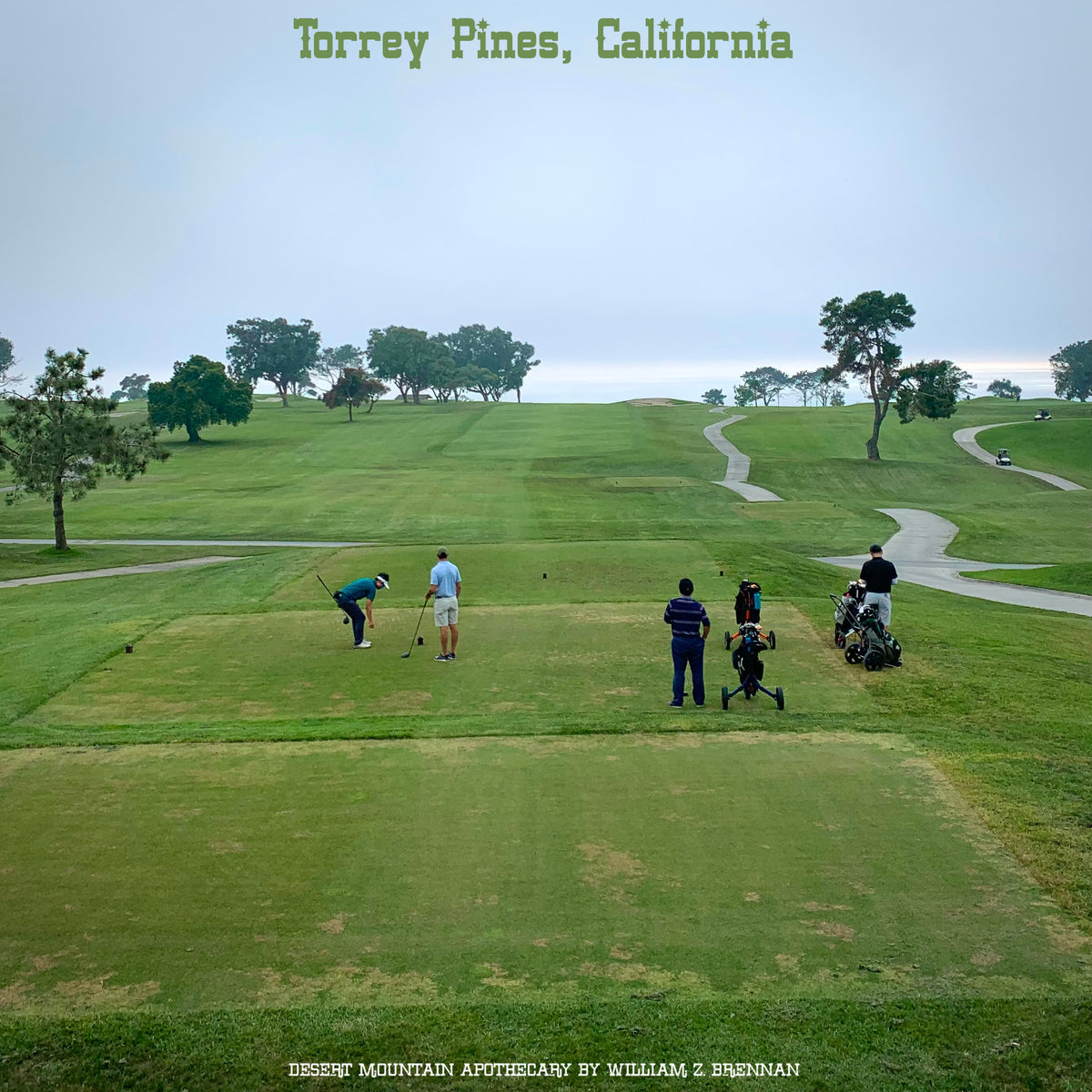 Torrey Pines Golf & Reserve – La Jolla, California – Desert Mountain ...